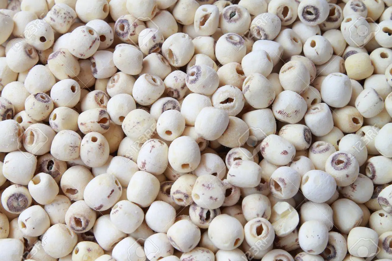 SIPB Bihar | SIPB | SWC Bihar - SIPB